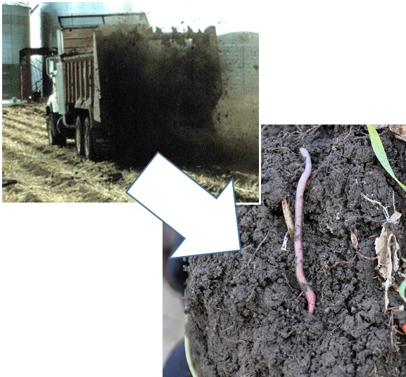 Manure Impact on Soil Aggregation – Soil Health Nexus
