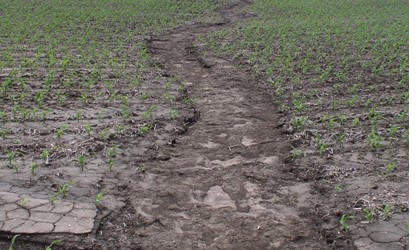 Manure’s Value to Erosion and Runoff – Soil Health Nexus