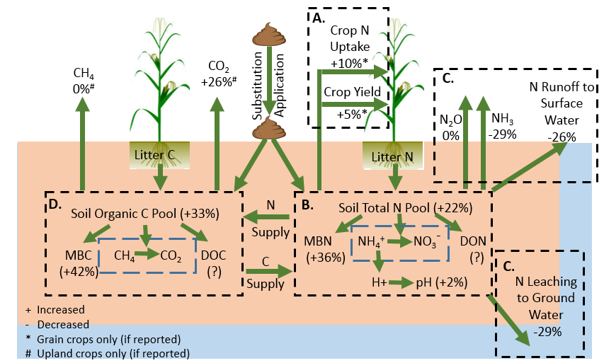 Manure’s Impact on Yield, Nitrogen, and Carbon – Soil Health Nexus