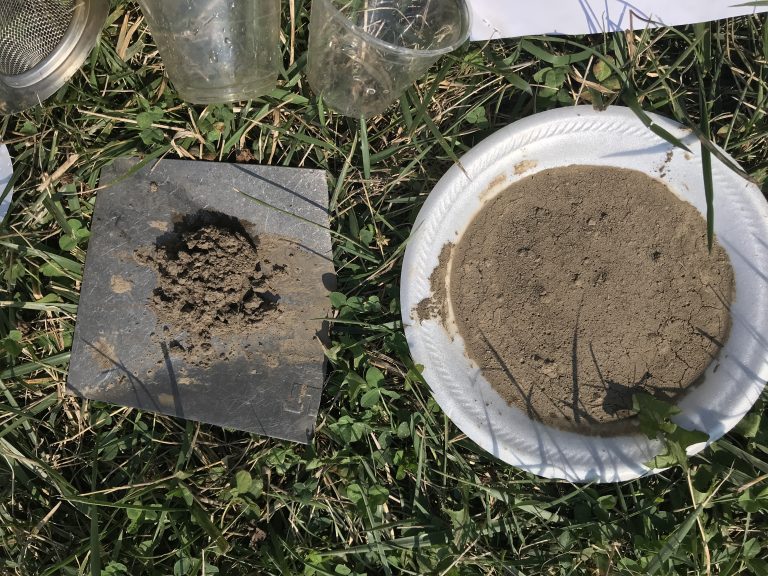 Crusting – Soil Health Nexus